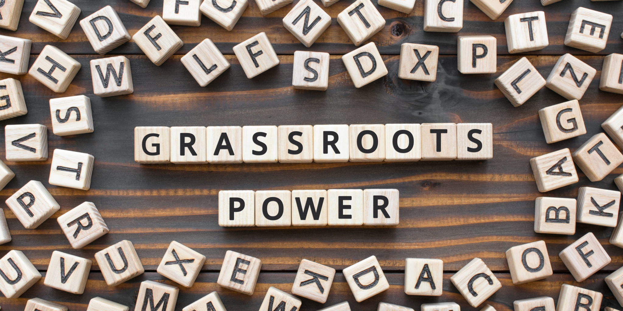 How to Start a Grassroots Movement: A Step-by-Step Guide for Activists ...